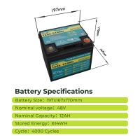 China 48V 12Ah Smart LifePO4 Battery Pack 6000 Cycles For Electric Bike Scooter Mobility Cart for sale