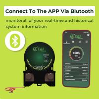 China EJ-BM19 500A Smart Shunt 12V 24V 48V Battery Coulometer Bluetooth High Precision SoC for sale