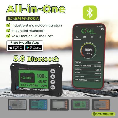 China Smart Shunt Digital Battery Monitor 12V 500A For Golf Cart EV Motorhome Solar for sale