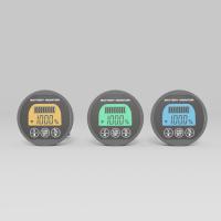 China 12V 24V 48V Bluetooth Shunt Battery Monitor 75A LCD Display For Electric Bike for sale