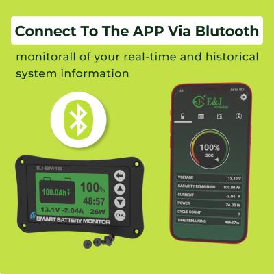 China High Precision Smart Shunt Battery Monitor For LiFePO4 Lithium AGM Battery Pack for sale