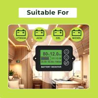 China Realtime Shunt SOC Meter Current Battery Monitor Forklift 75A 150A 500A Shunt For Electric Bicycle RV AGV for sale