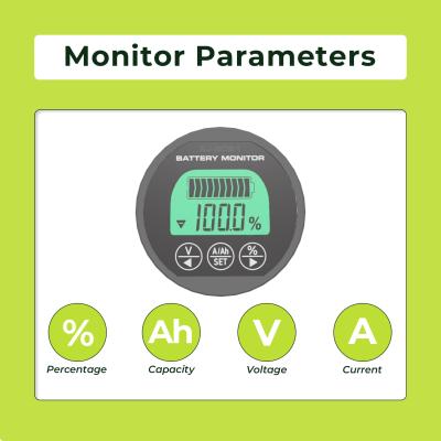 China Smart Shunt LCD Wireless Battery Monitor 6M Shielded Cable Battery Guard For Battery Pack for sale