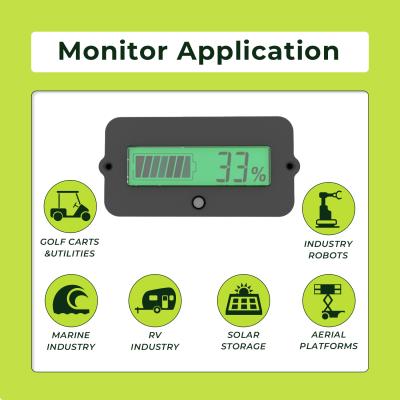 China 12V 24V Battery Monitor LCD Battery Fuel Gauge Battery Monitor For E Bike for sale