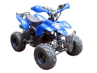 China ATV  110cc,125cc,4-stroke,air-cooled,single cylinder,gasoline electric start for sale