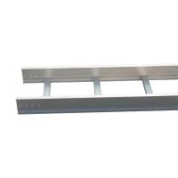 China Promotional Horizontal Ladder Type Cable Tray Coated With Anti Corrosion Paint for sale