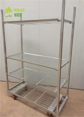 China Metal Mesh Dutch Flower Trolley Metal Sheet Hot Dip Galvanizing for sale