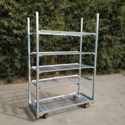 China Metal Mesh Danish Flower Trolley Hot Dip Galvanizing For Warehouse for sale