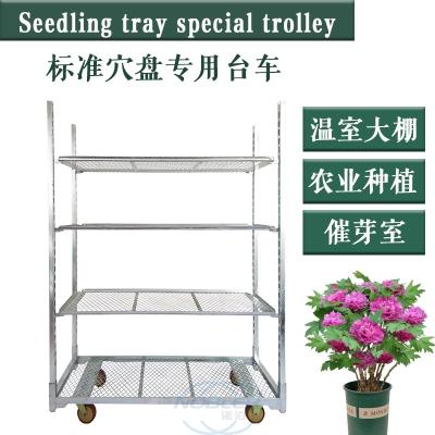 China Plywood Danish Trolley Dutch Nursery Cart Danish Trolley Rust Proof for sale