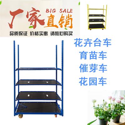 China Spray Plywood Float Dutch Flower Trolley Cold Galvanized Color Optional for sale