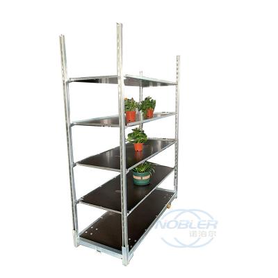 China 1350*565*1900mm Scientific Design Dutch Flower Trolley Rust Resistant for sale