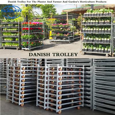China Danish Flower Trolley Galvanized Cc Container Plywood Flower Cart for sale