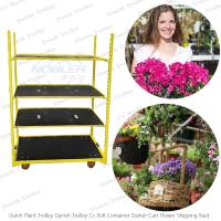China Danish Flowers And Plants Display Plywood Trolley High End Plastic Strong Durable for sale