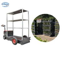 China Plywood Flower Trolley Nylon Wheel 2 Directional Wheel 2 Universal Wheel Trolley for sale