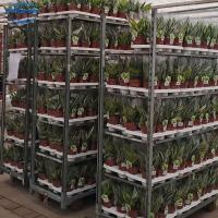 China Danish Trolley Flower Hand Trolley Plastic Shelf Supermarket Exclusive Use Customized Trolleys for sale