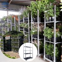 China Standard Container 1350 * 565 * 1900mm Plywood Flower Trolley Convenient Storage for sale