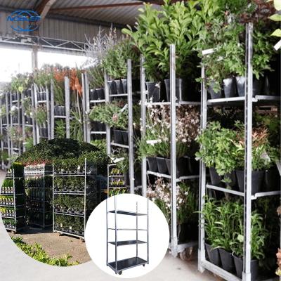 China Standard Container 1350 * 565 * 1900mm Plywood Flower Trolley Convenient Storage for sale