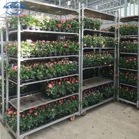 China Danish Trolley 2 Directional Rubber Wheel Push And Pull Type Flower Trolley Folding for sale