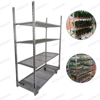 China 25cm Shelf Height Flower Trolley Designed with Heavy Duty PP Wheel Ensuring Stability and Durability in Floral Logistics for sale