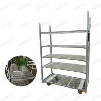 China Shelf Height 25cm Dutch Flower Trolley Offering 100KG Storage Capacity per Shelf and PP Wheel for Smooth Flower Delivery for sale
