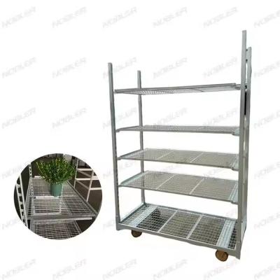 China Shelf Height 25cm Dutch Flower Trolley Offering 100KG Storage Capacity per Shelf and PP Wheel for Smooth Flower Delivery for sale