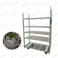 China Durable Dutch Flower Trolley Surface Treatment Hot Dip Galvanizing Metal Mesh Easy Assemble for sale