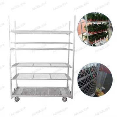China Heavy Duty Galvanized Horticultural Danish Trolleys Greenhouse Rolling Nursery Transport Storage for sale