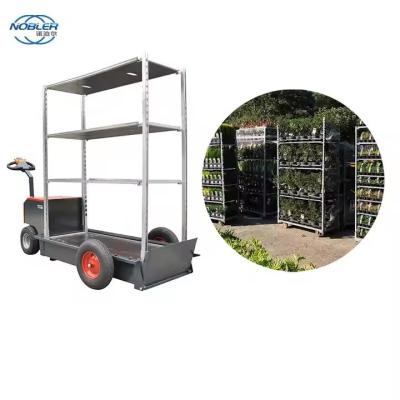 China Shopping Powder Coated Dutch Flower Trolleys For Sale for sale
