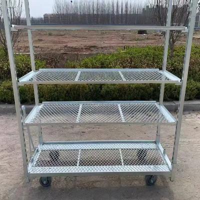 China Hot Dip Galvanizing PP Caster Greenhouse Harvest Trolley 1350*565mm for sale