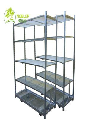 China 10 Liters Rectangular Danish Container Net Mesh Surface Powder Coated Freezer Safe for sale
