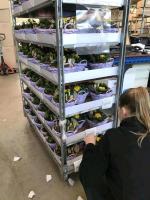 China 100kg/Shelf Coated Galvanized Danish Flower Trolley for sale