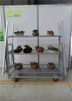 China Metal Sheet Flower Trolley Size 1350*565*1900 Hot Dip Galvanizing Not Easy Rust for sale