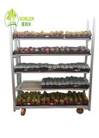 China Pull Net Shelf Dutch Flower Trolley For Storage Nursery Display for sale