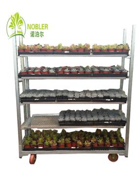 China Pull Net Shelf Dutch Flower Trolley For Storage Nursery Display for sale
