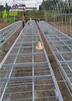 China Nobler Greenhouse Grow Beds New Premium Stationary Growing Bench Systems for sale