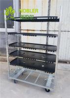 China Multi Shelf CC Garden Nursery Transport Dutch Floats for sale