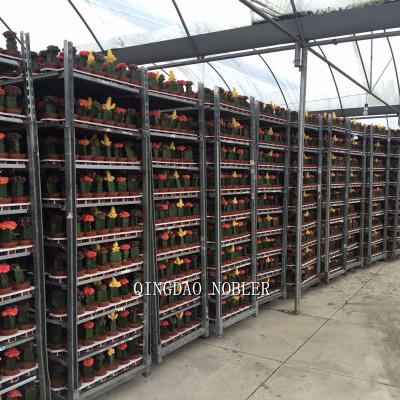 China PU Wheel Q235 Powder Coated Danish Trolley Shelves for sale