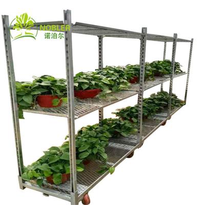 China hot Galvanizing Pullnet Flower Trolley 1500*565*1900 for sale