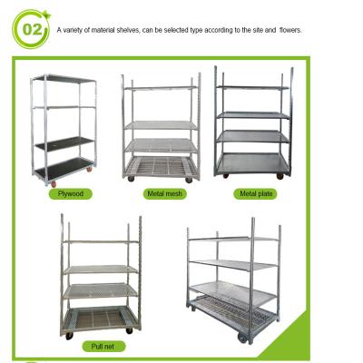 China Rubber Wheel Hand Flower Container Danish Cart Hot Galvanizing for sale