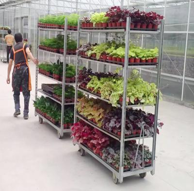 China Wire Mesh Shelf Dutch Flower Trolley Seedling Car Hot Galvanizing for sale