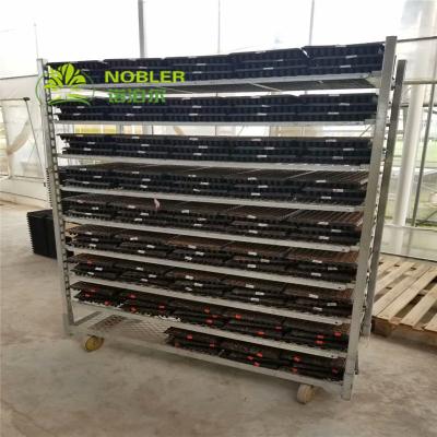 China Flower Frame Seedling Cart Danish Plant Trolley Hot Galvanizing for sale