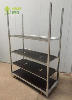 China Plywood Shelf Dutch Flower Trolley Electro Galvanized 1900mm for sale