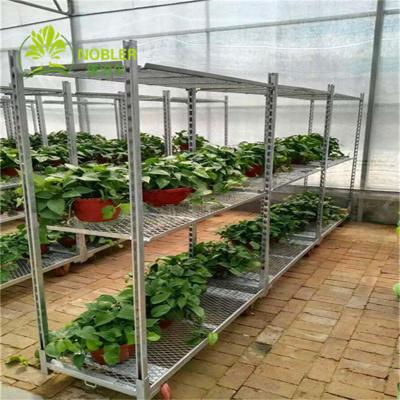 China Metal Plate Dutch Flower Trolley Powder Painted With PP Casters for sale