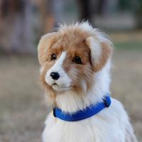 China Luxury Large Pet Neck Collar Heavy Duty Adjustable Nylon Dog Collar for sale