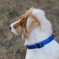 China Luxury Large Pet Neck Collar Heavy Duty Adjustable Nylon Dog Collar for sale