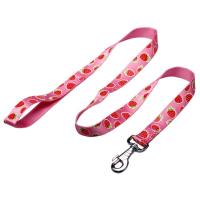 China Custom OEM Nylon Dog Training Leash 1 inch x 4 feet Silk Screen Pattern Pet Lead for sale