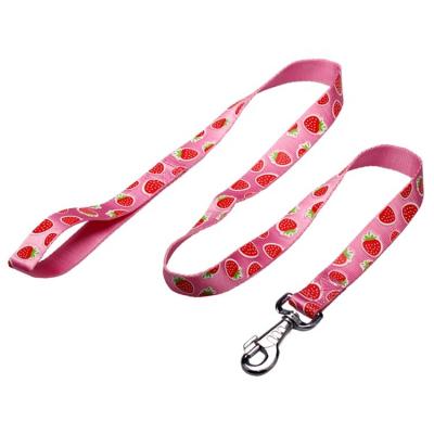 China Custom OEM Nylon Dog Training Leash 1 inch x 4 feet Silk Screen Pattern Pet Lead for sale