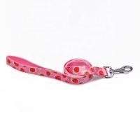 China Custom OEM Nylon Dog Training Leash 1 inch x 4 feet Silk Screen Pattern Pet Lead for sale