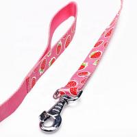 China Custom OEM Nylon Dog Training Leash 1 inch x 4 feet Silk Screen Pattern Pet Lead for sale