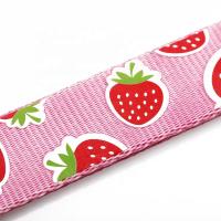 China Custom OEM Nylon Dog Training Leash 1 inch x 4 feet Silk Screen Pattern Pet Lead for sale